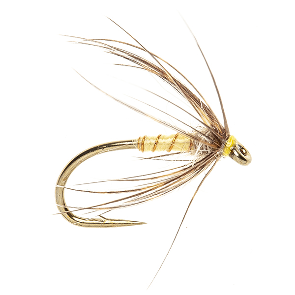 Clyde Style & Northern Spider - Hares Lug and Plover