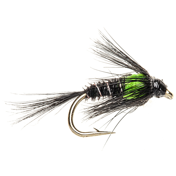 Black Cruncher - Green Thorax