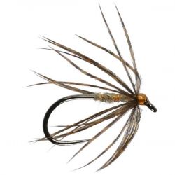 Clyde Style & Northern Spiders